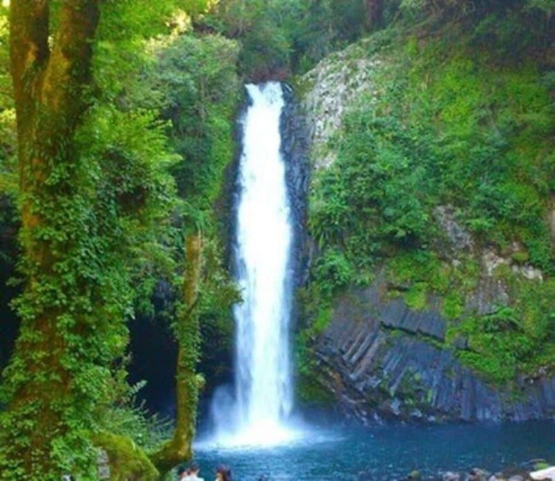 Tokyo: Izu Peninsula Fun Diving and Sightseeing Tour - Why Choose This Tour?