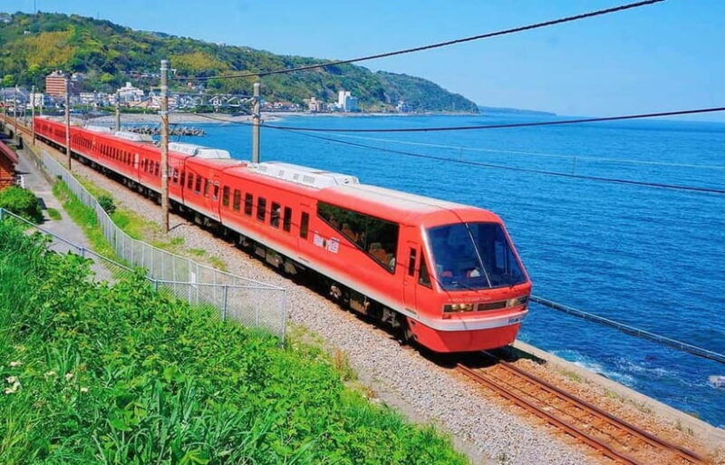 Tokyo: Izu Scenic Oceanview Train, Volcano, Coast Day Trip - Key Points