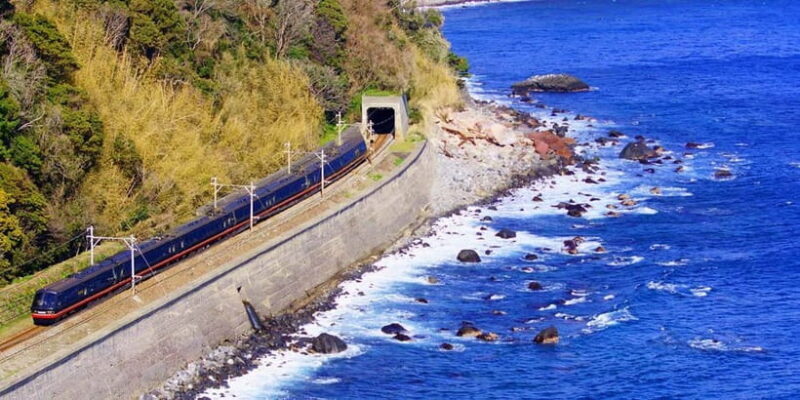 Tokyo: Izu Scenic Oceanview Train, Volcano, Coast Day Trip - An Introduction to the Tour