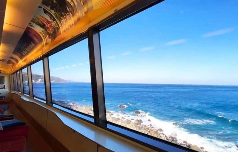 Tokyo: Izu Scenic Oceanview Train, Volcano, Coast Day Trip - Transportation, Groups, and Overall Value