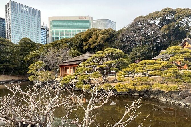 Tokyo: Japanese Garden and Surroundings Guided Walking Tour - Exploring the Highlights of Tokyo’s Hidden Corners
