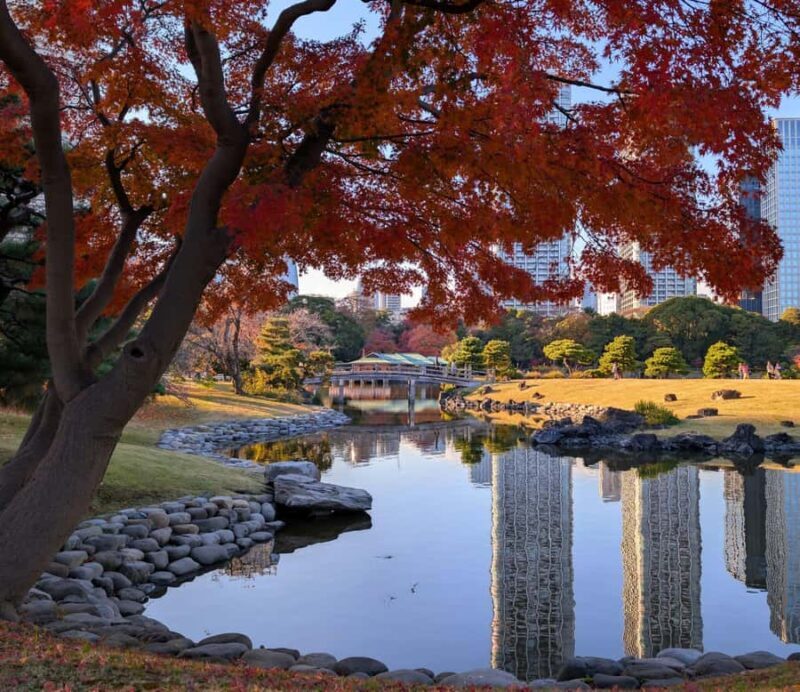 Tokyo: Japanese Garden Tour, Panoramic Train, and Odaiba Bay - Key Points