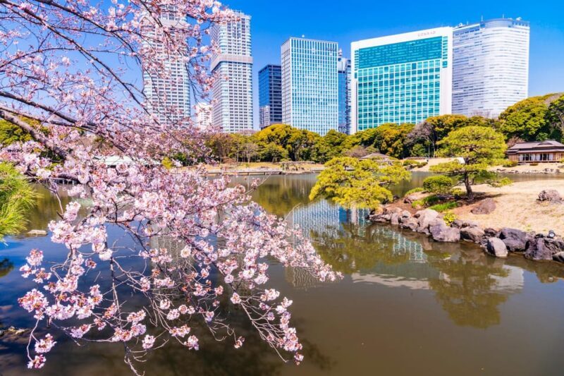 Tokyo: Japanese Garden Walking Tour with Tea and Sweets - Exploring Tokyo’s Zen with the Japanese Garden Walking Tour and Tea Experience