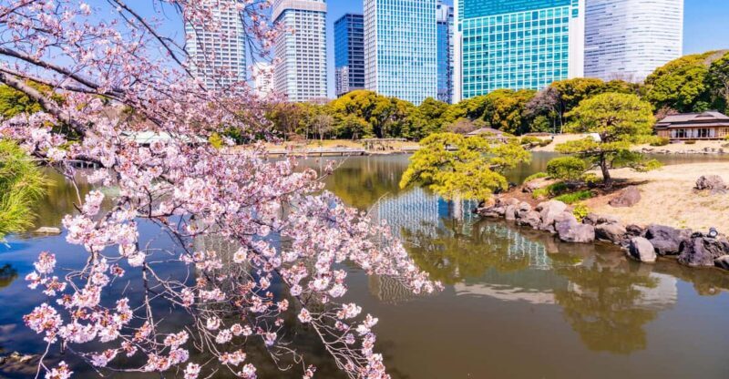 Tokyo: Japanese Garden Walking Tour with Tea and Sweets - Who Will Enjoy This Experience?