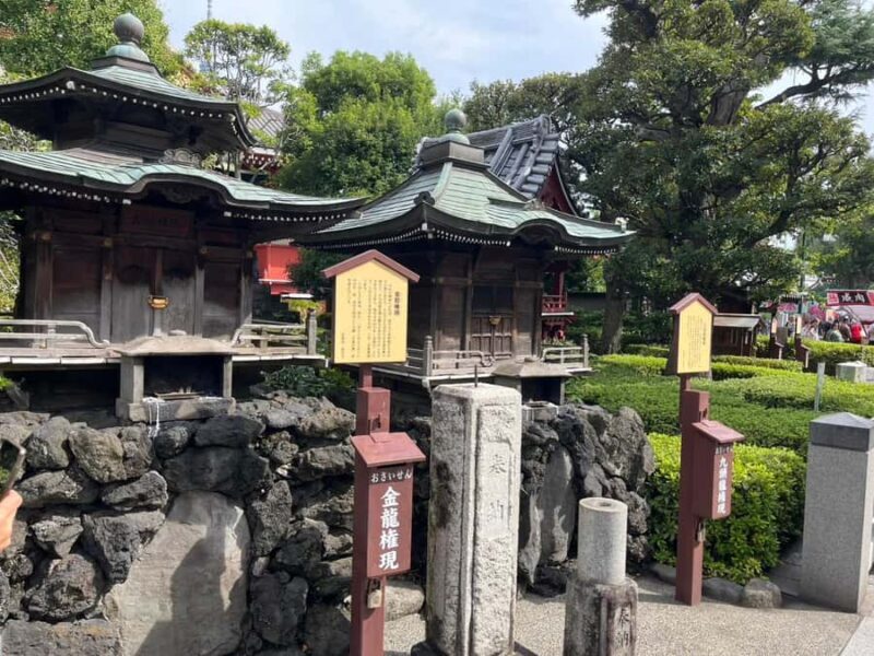 Tokyo: Japanese Language Lesson and City Walking Tour - The Practicalities: What Travelers Should Know