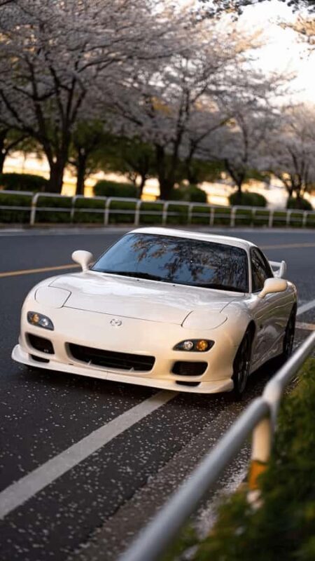 Tokyo: JDM Adventure - Daikoku PA, Tokyo Tower & More - Key Points