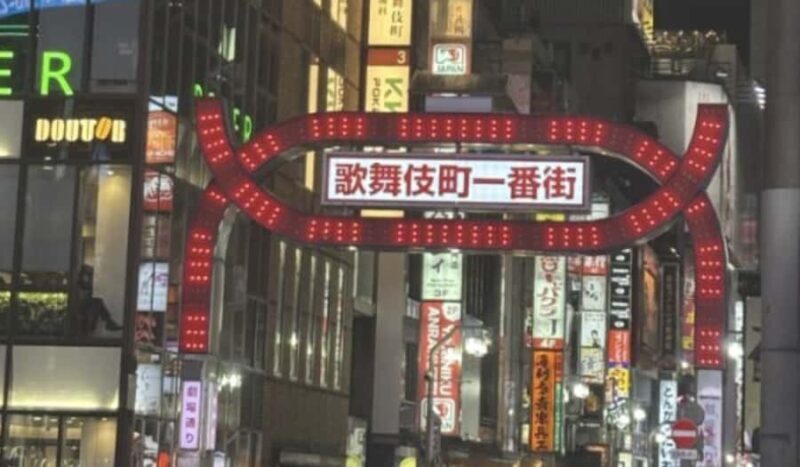 Tokyo: Kabukicho Neon Lights Guided Walking Tour - Who Will Love This Tour?