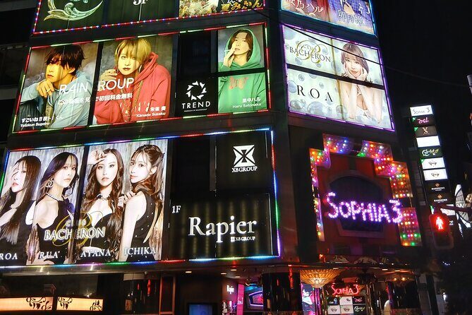 Tokyo Kabukicho Tour & Dinner Party - for Adults Only - What to Expect: The Practicalities