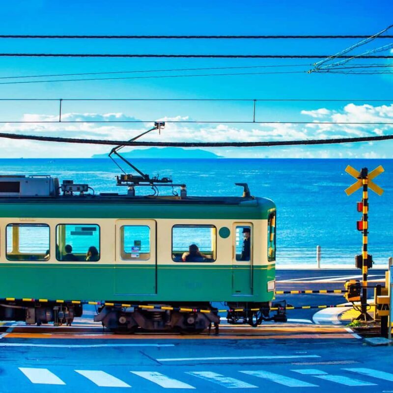 Tokyo: Kamakura & Enoshima private tour - Giant Buddha - Key Points