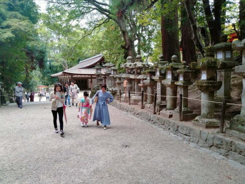 Tokyo-Kamakura-Hakone-Mt.Fuji-Nara-Kyoto-Osaka: 3-Day Tour - The Itinerary Breakdown: What You Can Expect