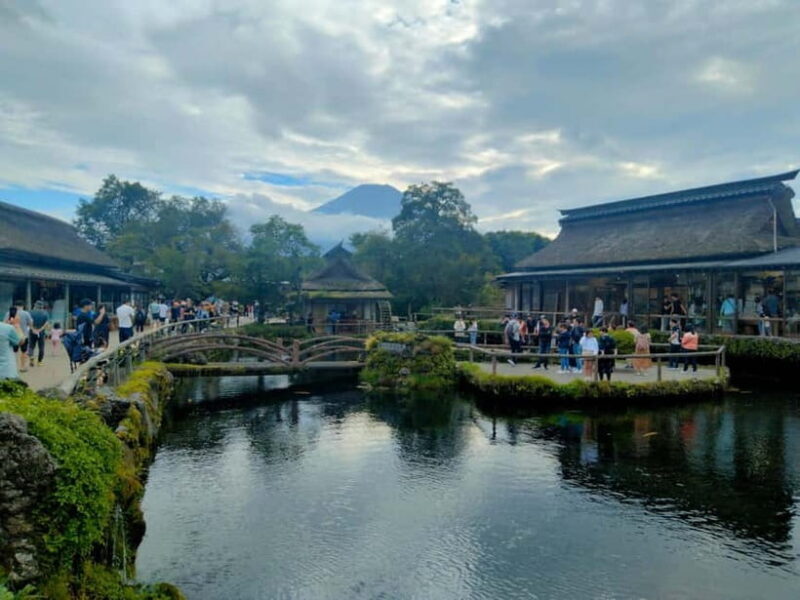 Tokyo-Kamakura-Hakone-Mt.Fuji-Nara-Kyoto-Osaka: 3-Day Tour - How the Experience Feels in Practice