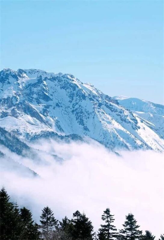 Tokyo: Kamikochi & Tateyama Kurobe Snow Wall 2-Day Tour - The Sum Up