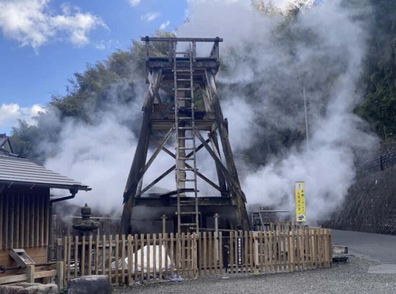 Tokyo: Kawazu Cherry Blossom & Onsen Small-Group Trip - Practicalities and Value