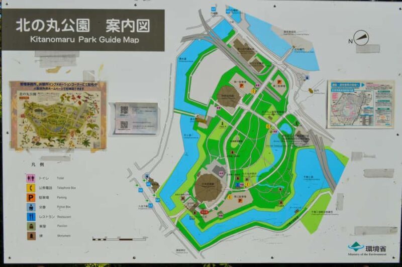 Tokyo: Kitanomaru Park Autumn Leaves Stroll - Who Should Consider This Tour?