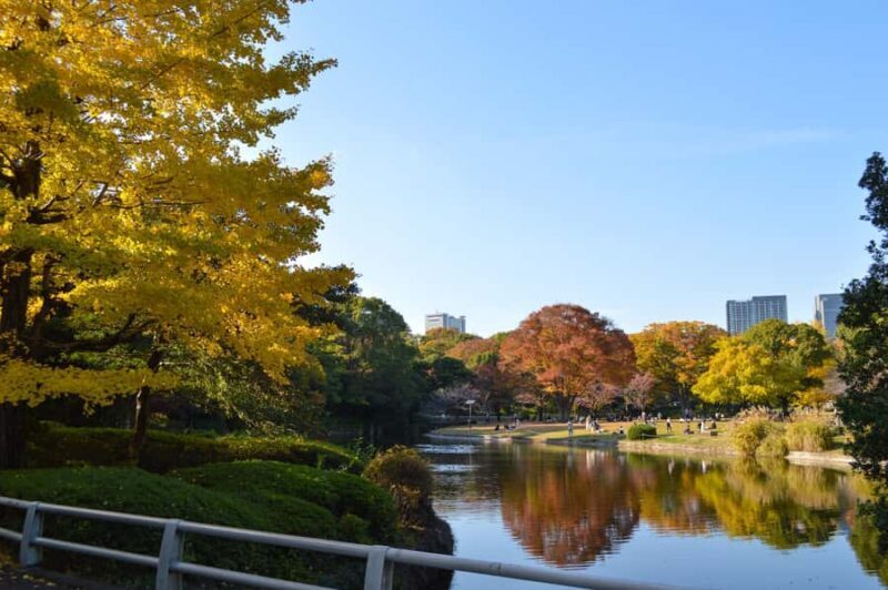 Tokyo: Kitanomaru Park Autumn Leaves Stroll - The Sum Up
