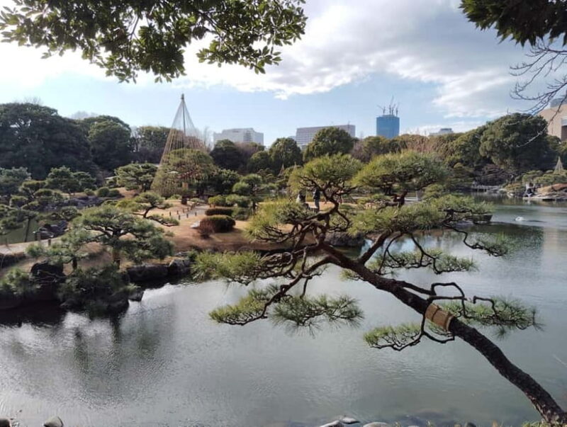 Tokyo: Kiyosumi, Hama-Rikyu, and Kyu-Yasuda Garden Tour - An In-Depth Look at the Garden Tour Experience