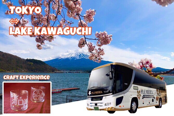 Tokyo  Lake Kawaguchi Bus Tickets (One-way/Round-trip) - How the Experience Stacks Up