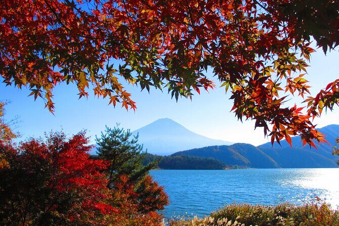 Tokyo  Lake Kawaguchi Bus Tickets (One-way/Round-trip) - FAQ