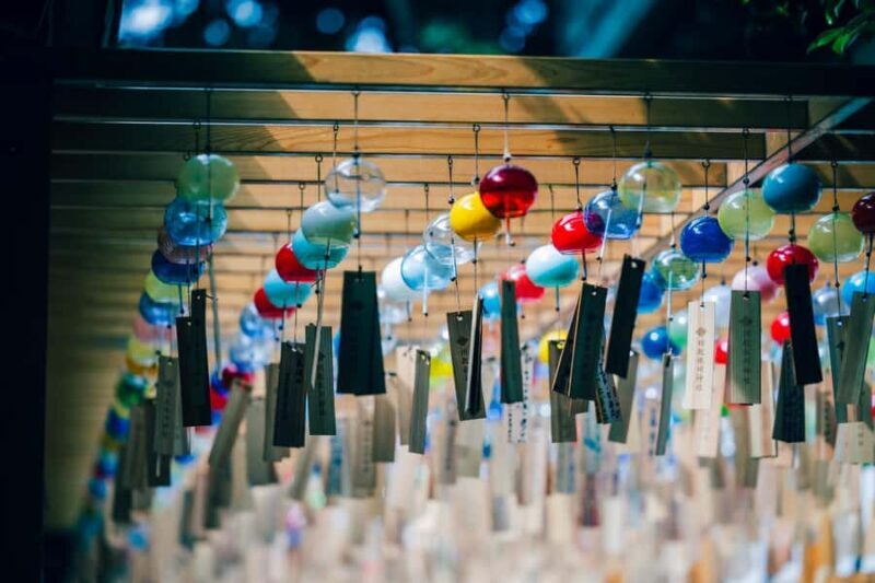 Tokyo: lkaho Onsen,Kawagoe,Strawberry Picking with Kobe Beef - A Culinary Focus: Premium Kobe Beef & Strawberry Picking