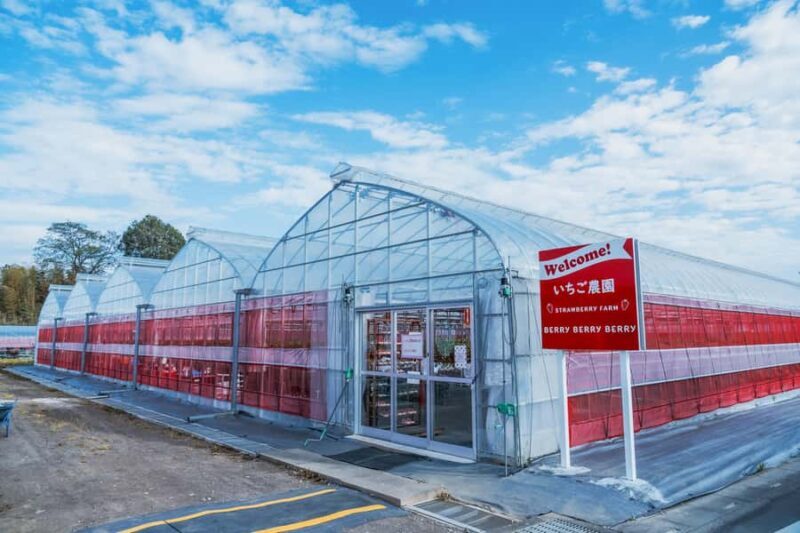 Tokyo: lkaho Onsen,Kawagoe,Strawberry Picking with Kobe Beef - Logistics & Practicalities