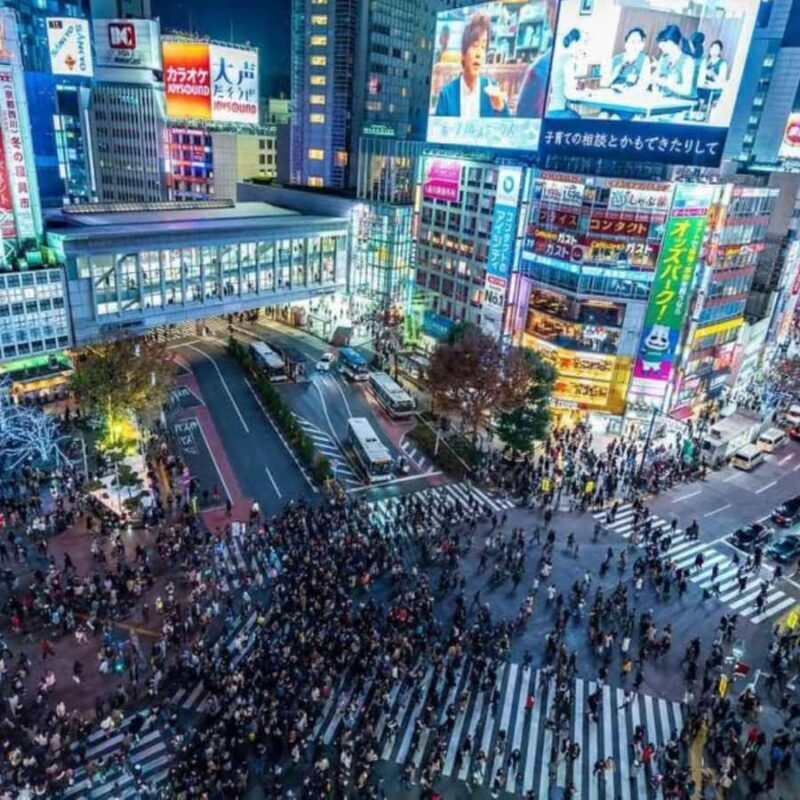 Tokyo: Luxury Tokyo Private City Tour In Luxury Land Cruiser - Starting Your Day in Style: Pickup and First Impressions