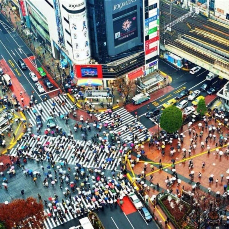 Tokyo: Luxury Tokyo Private City Tour In Luxury Land Cruiser - The Logistics: How the Day Unfolds