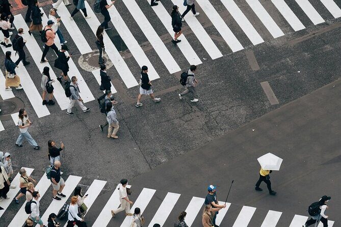 Tokyo Made Easy | Private Chauffeur Day Adventure | Car and Guide - Key Points