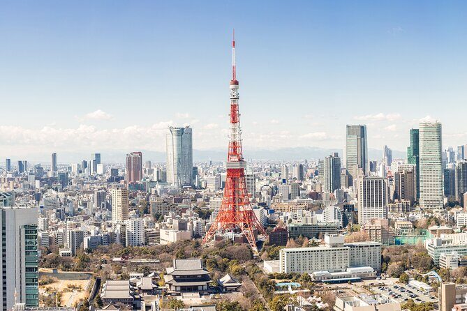 Tokyo Market Skyline and City Guided Tour for Kids and Families - An Introduction to the Tour