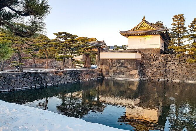 Tokyo Market Skyline and City Guided Tour for Kids and Families - The Sum Up