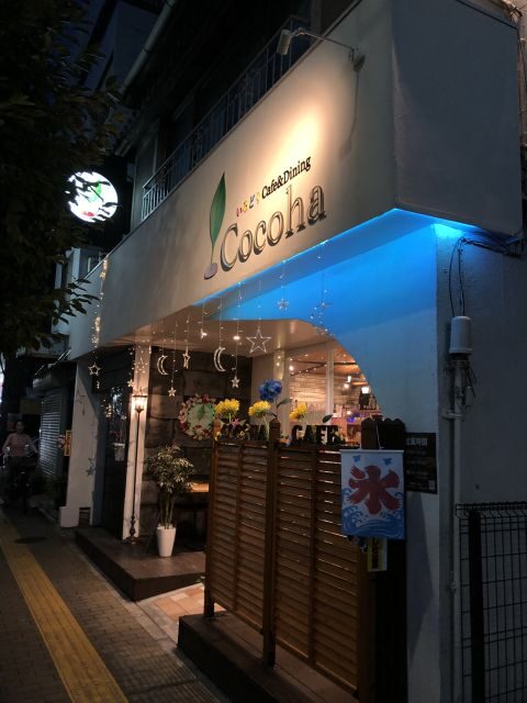 Tokyo: Master the Art of Traditional Origami with a Local - Who Would Love This Tour