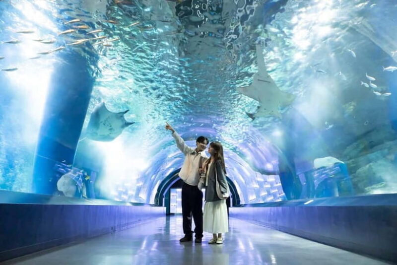 Tokyo: Maxell Aqua Park Shinagawa Direct Entry Ticket - Key Points