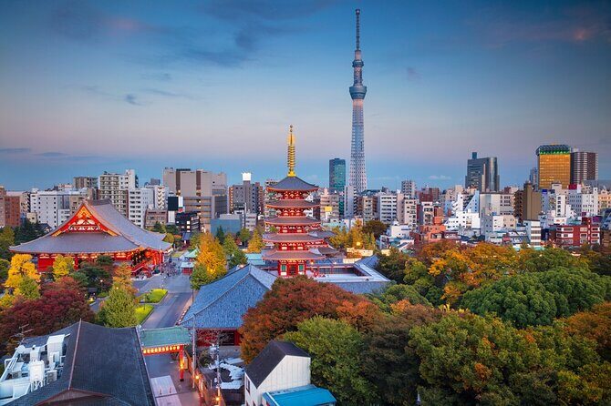 Tokyo MegaPass Deluxe Top Attractions Sightseeing - Key Points