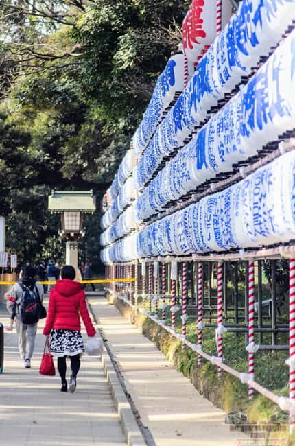 Tokyo: Meiji Jingu, Harajuku, Shibuya, and Shijuku Tour - Authentic Experiences and Insights from Travelers