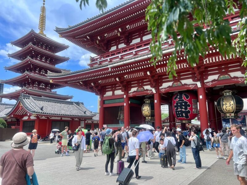Tokyo: Meiji Jingu Shrine and Shinto Culture Walking Tour - Key Points