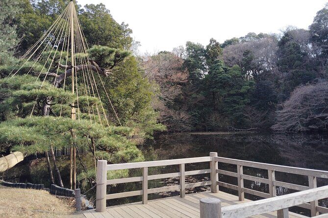 Tokyo: Meiji Jingu Shrine & Inner Garden Private Tour (2h) - FAQ