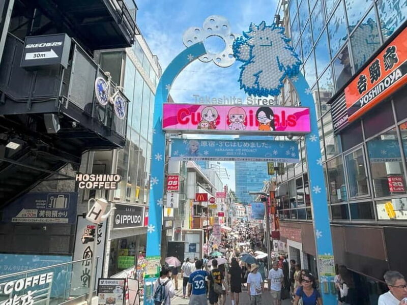 Tokyo: Meiji Jingu, Yoyogi Park & Takeshita Street Tour - Final thoughts: A Well-Rounded Taste of Tokyo in Just a Few Hours