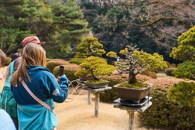 Tokyo: Meiji Shrine Historical Tour with Local Guide - The Experience: A Deep Dive into the Tour