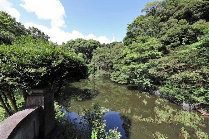 Tokyo Meiji Shrine Walking Tour - An In-Depth Look at the Tokyo Meiji Shrine Walking Tour