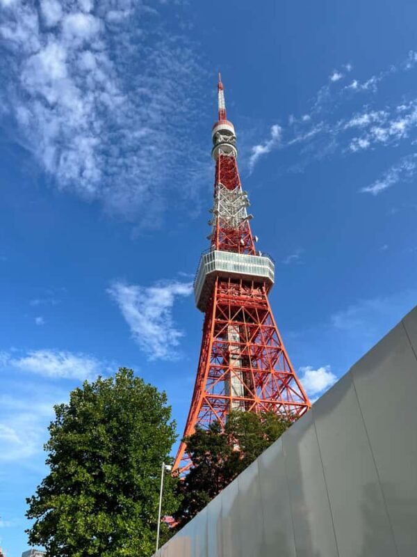 Tokyo: Midnight Halal Ramen and Mosque Tour with Guide - An Authentic Night in Tokyo: An Honest Review