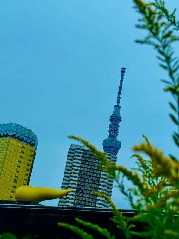 Tokyo: Midnight Halal Ramen and Mosque Tour with Guide - Practical Tips for Participants