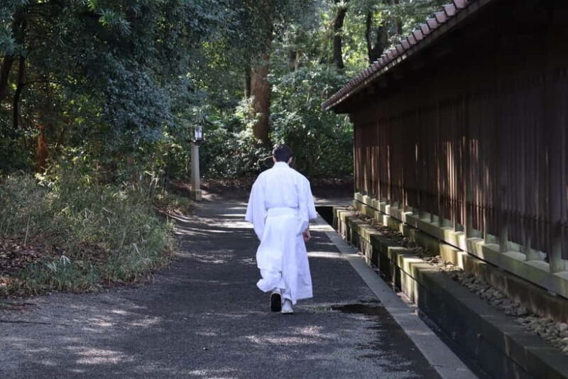 Tokyo Morning Highlights: Shibuya, Asakusa, Meiji Shrine - Who Will Love This Tour?