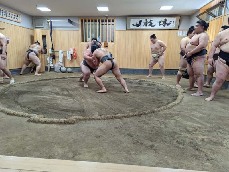 Tokyo: Morning Sumo Practice Viewing - Who Will Love This Tour?