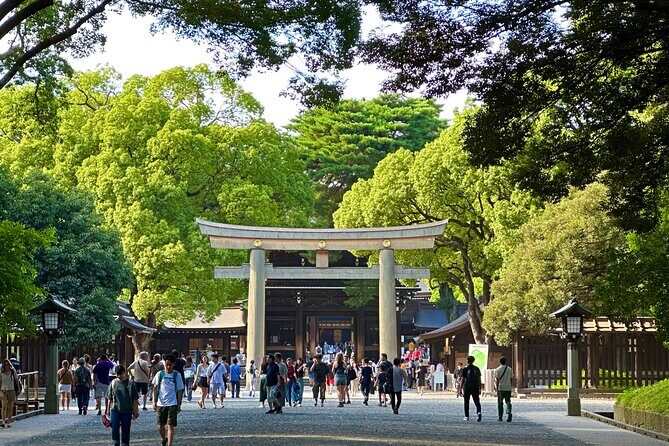 Tokyo Morning Tour: Asakusa, Meiji Shrine and Tsukiji Fish Market - A Practical, Balanced Look at Tokyo’s Morning Tour: Asakusa, Meiji Shrine, and Tsukiji Fish Market