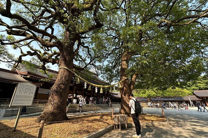 Tokyo Morning Tour : Meiji Shrine, Asakusa and Fire Ritual - The Sum Up