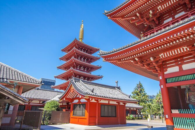 Tokyo Morning Tour Meiji Shrine, Asakusa and Local temple - What You’ll Visit and Why It Matters
