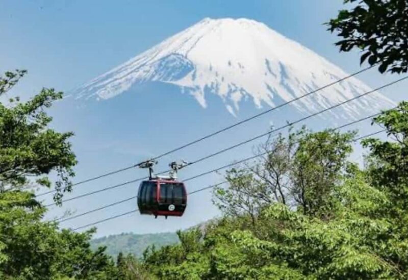 Tokyo: Mount Fuji and Hakone Private Customized Tour Guide - Key Points