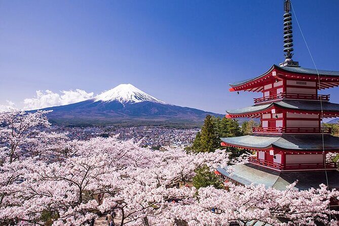 Tokyo Mount Fuji and Hakone Private Day Tour - Key Points