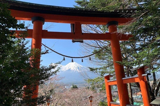 Tokyo Mount Fuji and Hakone Private Day Tour - Frequently Asked Questions