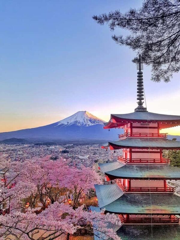 Tokyo: Mount Fuji and Hakone Private Day Trip with driver - Key Points