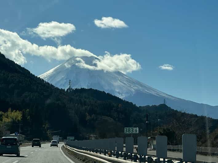 Tokyo: Mount Fuji and Hakone Private Sightseeing Day Tour - An In-Depth Look at What You Can Expect